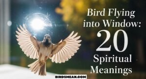 Bird Flying into Window: 20 Spiritual Meanings